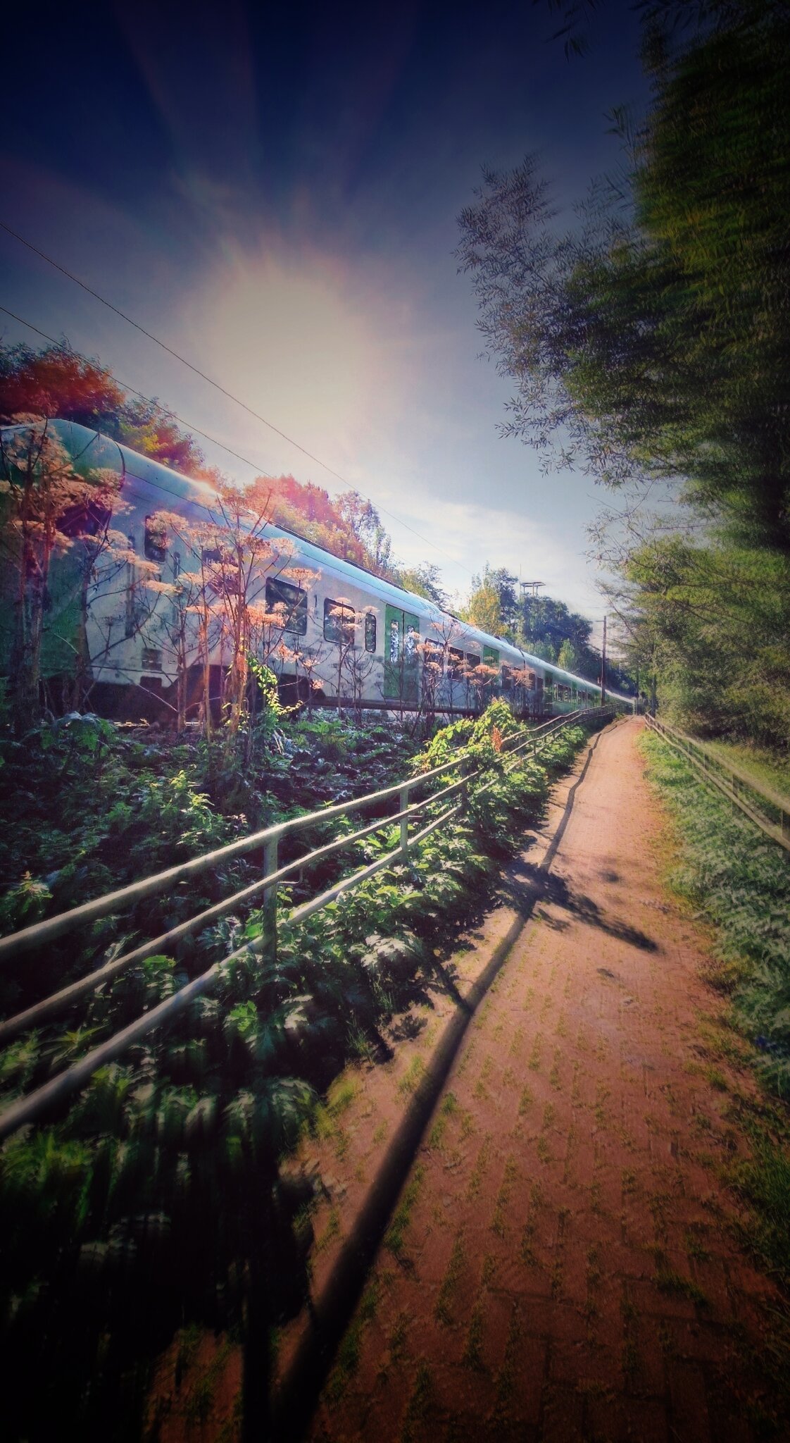 S-BAHN-IMPRESSIONEN.....Haltestelle HOLTHAUSEN