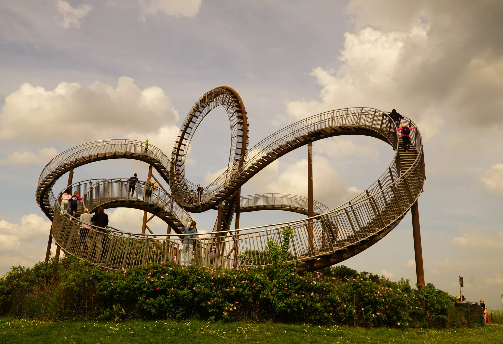 Tiger & Turtle