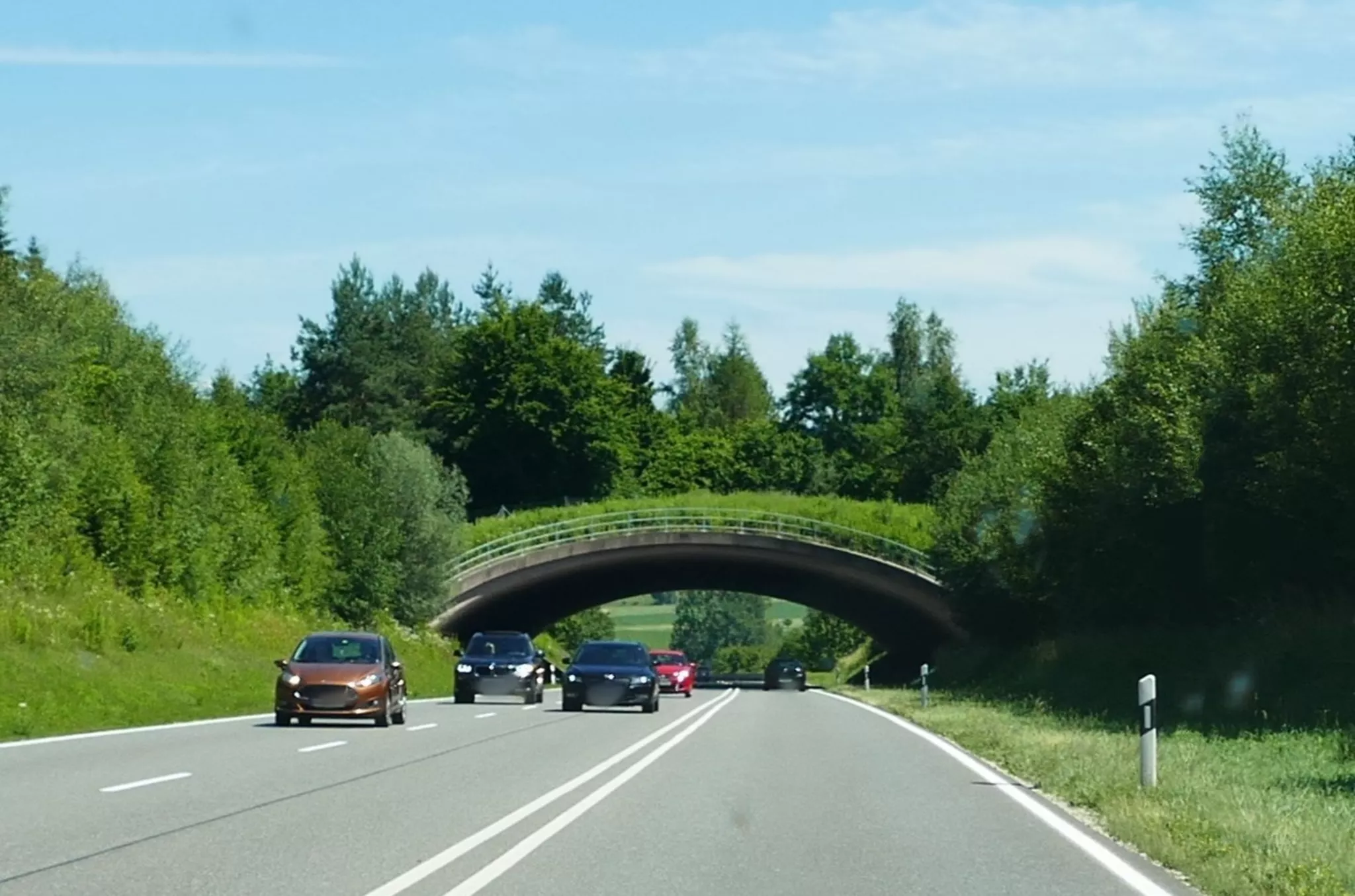 Wildbrücke auf einer Bundesstrasse, sieht man nicht so oft.....