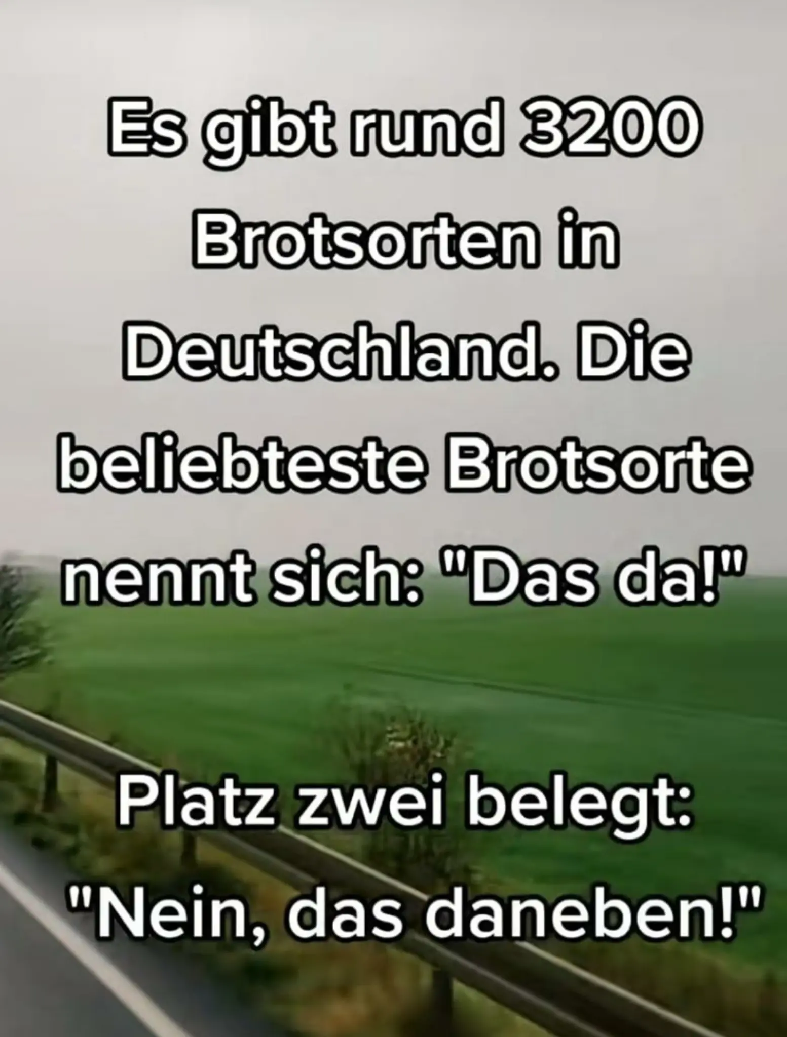 Witz l