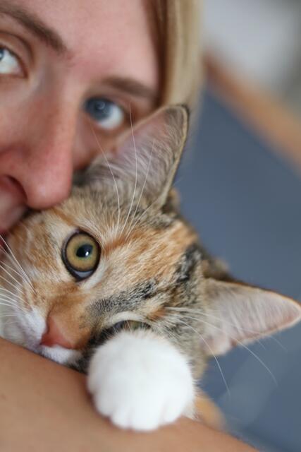 Nachrichten aus Sundern (Sauerland)