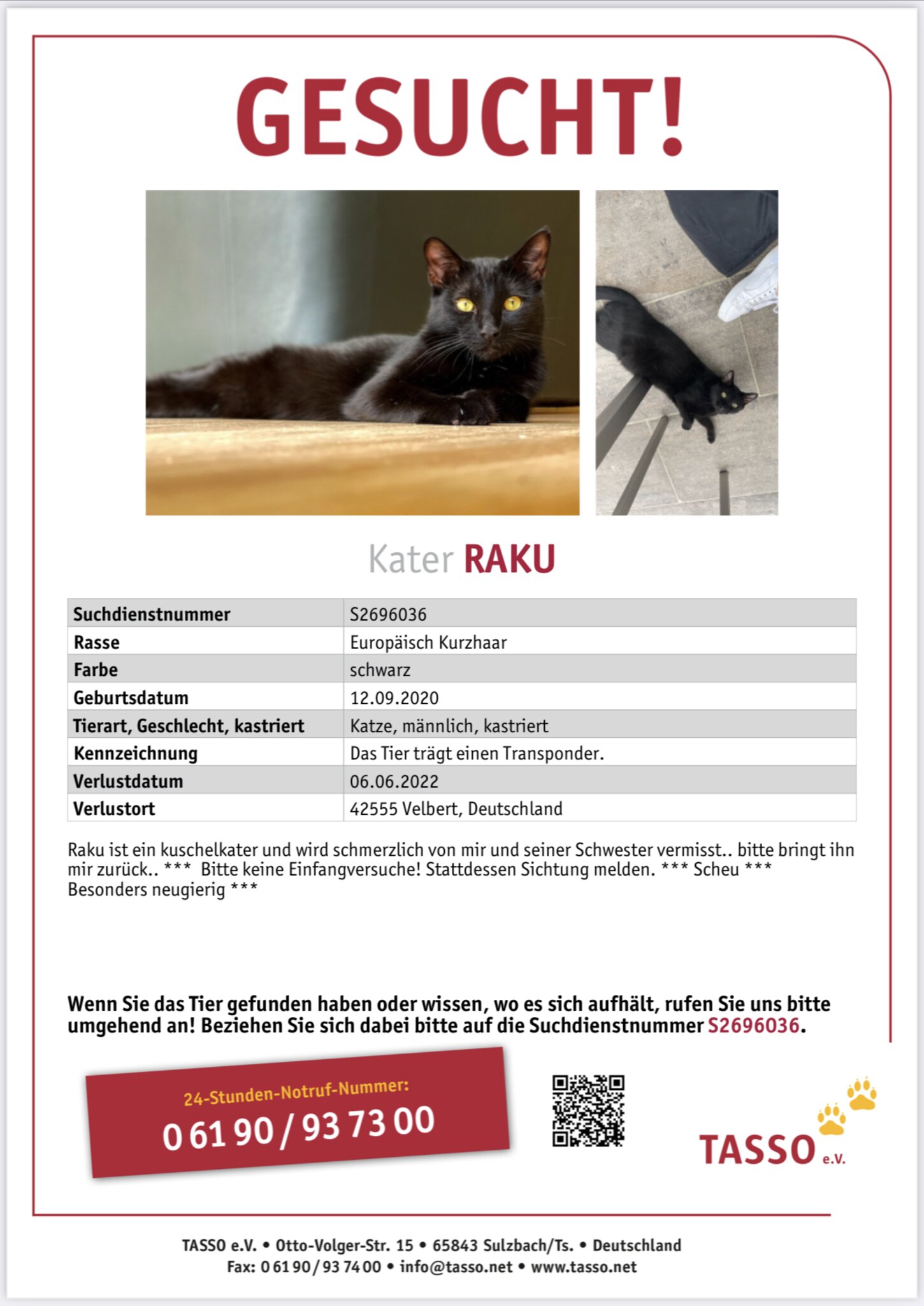 Anna Jasky aus Velbert-Langenberg - Lokalkompass